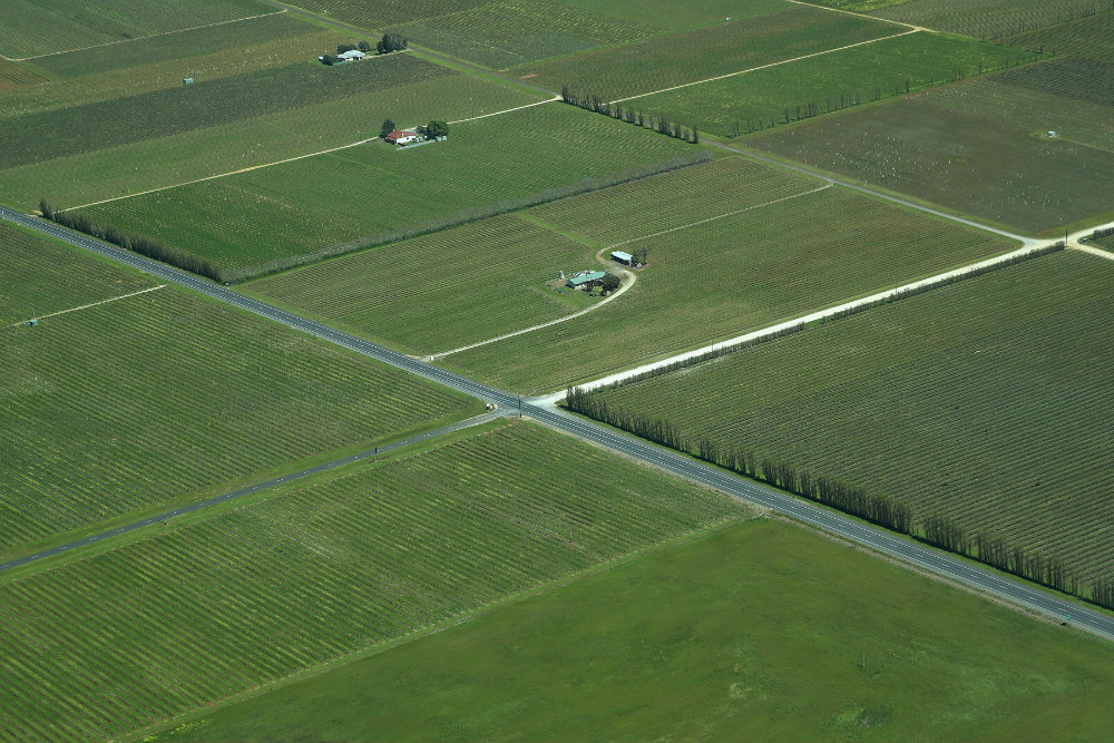 Trail Map - Coonawarra Wineries Walking Trail